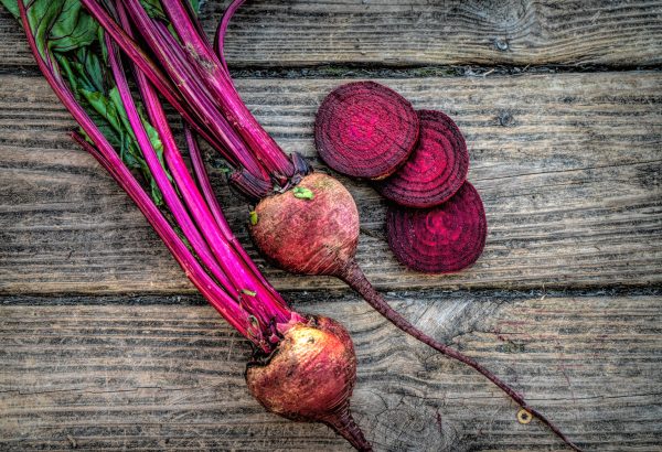 Rhode Island or Bust - Purple Rosemary